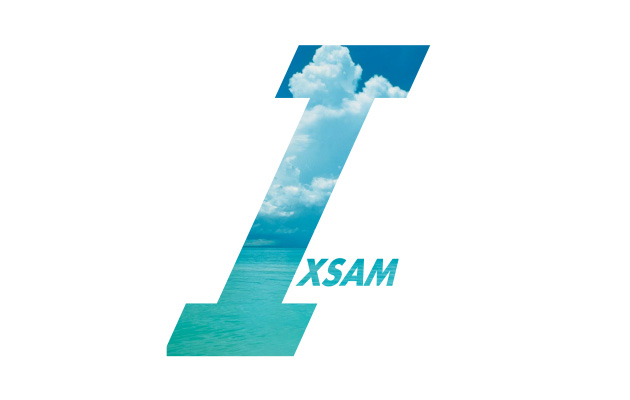 汎用入出力パッケージ IXSAM | セイコーソリューションズ