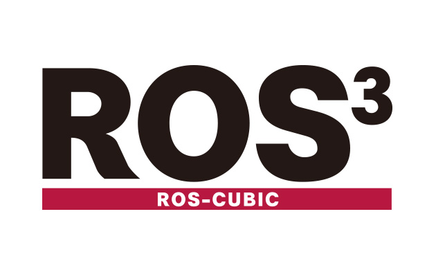 統合EDIサーバ構築パッケージ ROS3 | セイコーソリューションズ